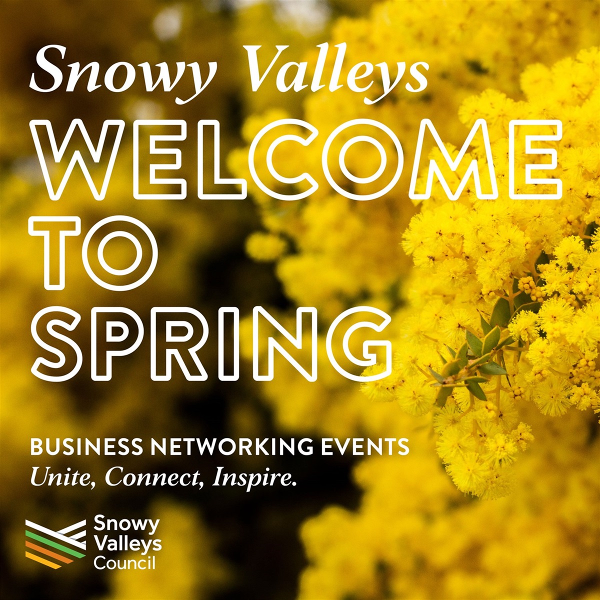 Welcome to Spring Networking Events - Snowy Valleys